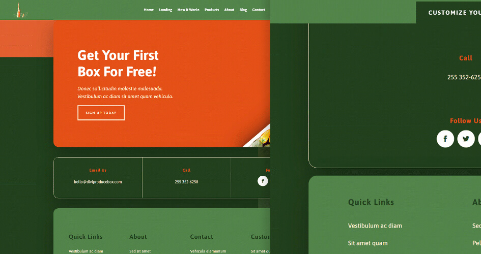 Free Divi Header Footer Templates For Produce Box Layout Pack
