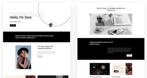 Portfolio Free Divi Layout Pack
